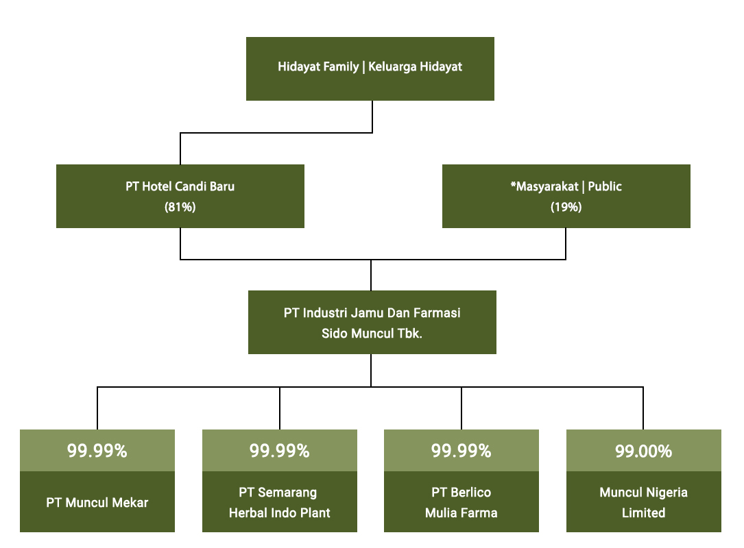 Investor Relations: Shareholding Structure